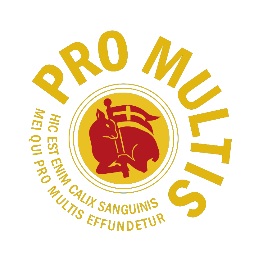 Novembre 2020 - Pro Multis